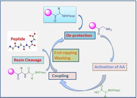 Budochems Solid Phase Peptide Synthesis