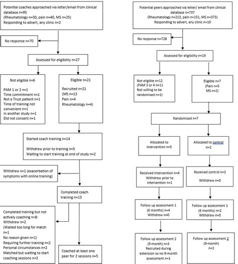 Peer Connect A Pragmatic Feasibility Randomised Controlled Trial Of Peer Coaching For Adults