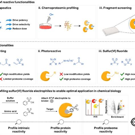 Overview Of Reactive Functionalities In Chemical Biology A Reactive Download Scientific