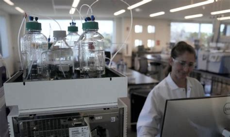 실험실 고기 배양육 美서 판매 승인역사적 순간 세계일보 실험실 고기 배양육 美서 판매 승인역사적 순간 세계일보