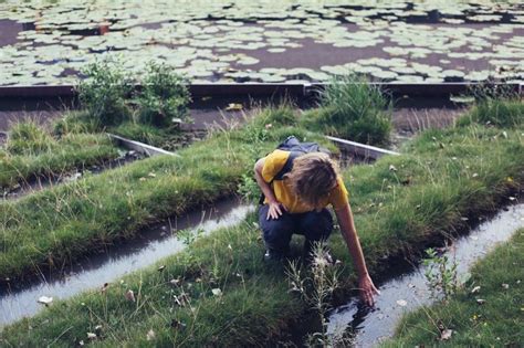 Invisible Pollution Troubled Waters