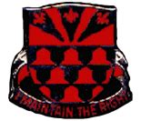 307th Engineer Battalion