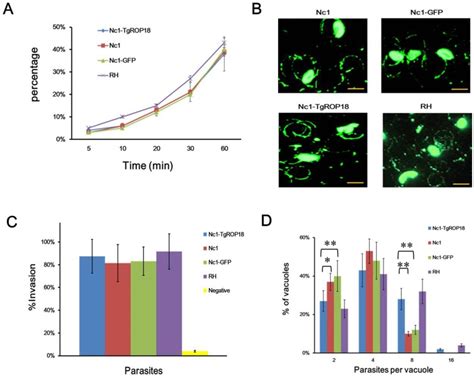 A Transmigration Assay In The Transwell System Data Are Represented Download Scientific