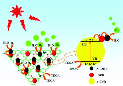 Schematic Diagram Of Photocatalytic H 2 Evolution Over Cn−ni 3 B−nioh Download Scientific