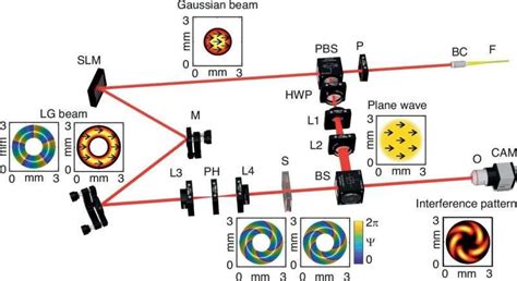 Andrew Leckie On Linkedin Optical Technique That Uses Orbital Angular