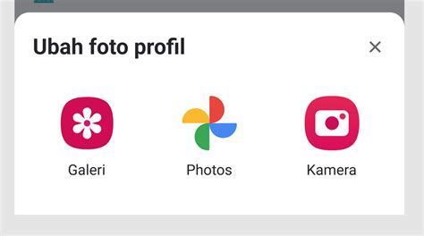 Can We Use Google Photos As Image Picker In Flutter Stack Overflow