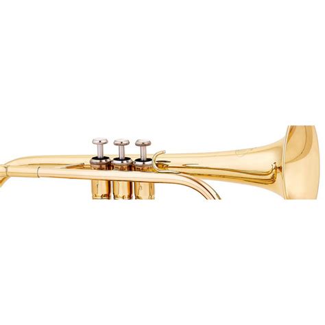 Cornet Sib Basic 300 Mtp