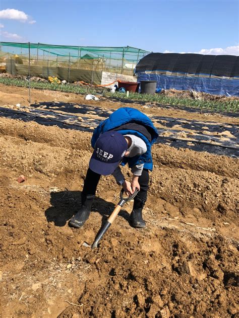 주말농장 시작 밭고르기밑거름주기고랑 이랑 만들기비닐멀칭 네이버 블로그