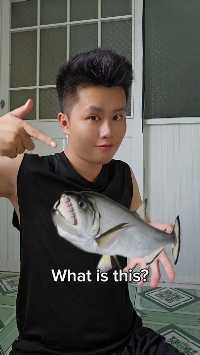 What Is This P62 Youtube