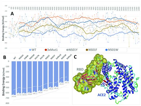 A Comparison Of Rbd Ace2 Binding Energy Md Trajectories For Five Rbd