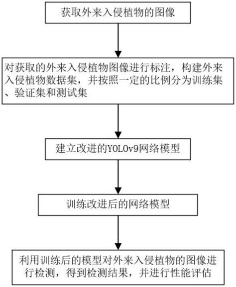 一种基于改进yolov9算法的外来入侵植物检测方法