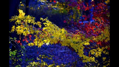 팬텀싱어 Phantom Singer Quando Lamore Diventa Poesia 사랑이 시로 변할 때