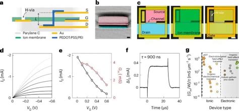 Integrated Internal Ion Gated Organic Electrochemical Transistors For Stand Alone Conformable