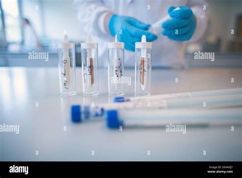 Label Sampels Hi Res Stock Photography And Images Alamy