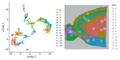 Analysis Visualization And Integration Of Spatial Datasets With