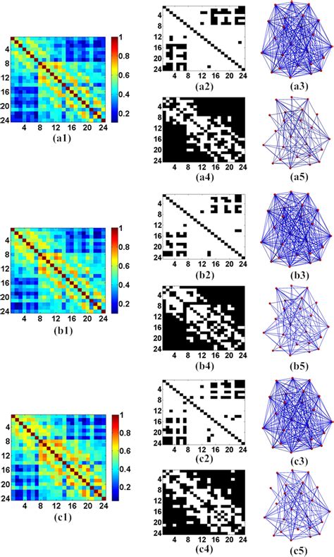 Correlation Coefficients Binary Matrixes And 3d Relative Networks Of