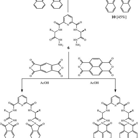 Scheme 4 Synthetic Routes For Macrocyclic Compounds 10 12 Download Scientific Diagram