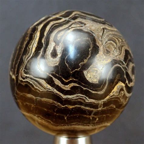 Very Rare Fossilized Algae Sphere 57×57×57 Mm 260 26 G Catawiki