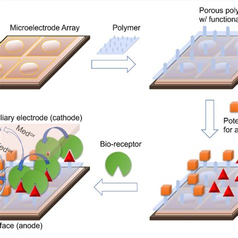 An Indirect Method For Detecting Binding Events Download Scientific