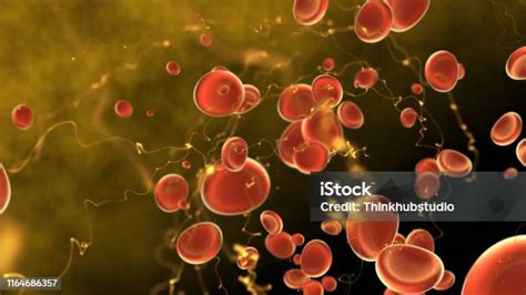 적혈구 및 바이러스 박테리아 감염 3d 렌더링 건강 관리 의료 및 과학 개념 혈액의 입자 인체 과학 생물학 0명에 대한 스톡 사진 및 기타 이미지 Istock