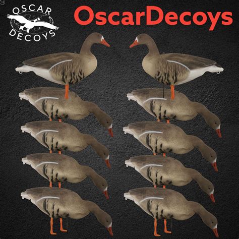 Белолобый гусь Speckbelly Goose – OscarDecoys