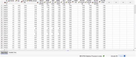 Data ViewVariable ViewIBM SPSS Statistics Processor Chegg