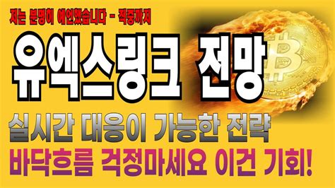 유엑스링크 전망 실시간 대응이 가능한 전략 바닥호재 걱정마세요 이건 기회 분명 예언했습니다 Youtube
