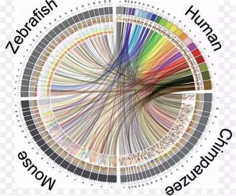 Dna测序人类基因组计划大规模并行测序生物医学目录png图片素材下载 图片编号2475799 Png素材网