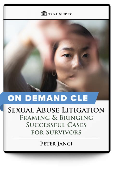 Sexual Abuse Litigation Framing And Bringing Successful Cases For Survivors
