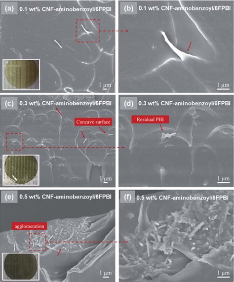 Sem Micrographs Showing The Fracture Surface Of Cnf Aminobenzoyl6fpbi