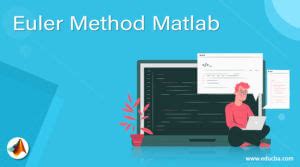 Euler Method Matlab How Does Euler Method Work In Matlab