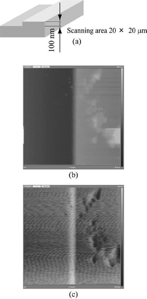 Afm Images Obtained By Tuning Fork Probes A Schematic View Of The Download Scientific