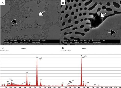 Scanning Electron Microscopy Images A And B And Edx Graphs C And D