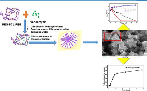 Figure From Pyramid Shaped PEG PCL PEG Polymeric Based Model Systems For Site Specific Drug