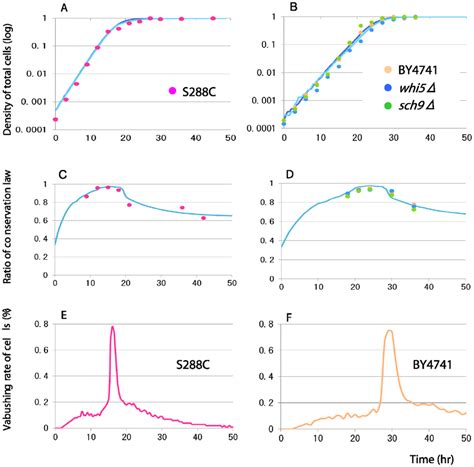 Comparisons Of Simulation Results Curves Of Lattice Gas Model With