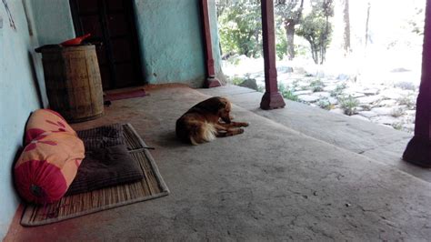 THE BALLU home stay - Tripoto
