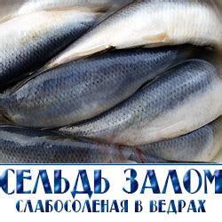 СЕЛЕДКА ЗАЛОМ - Оптовая продажа рыбы по Московской области и ...