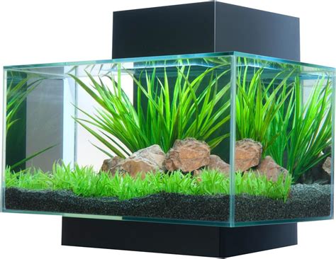 Fluval Edge I Nanoaquarium Mit 23l Fassungsvermögen Schwarz Amazon