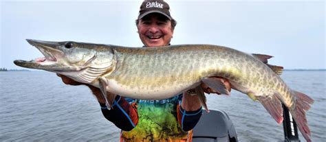 Gord Pyzer On Linkedin Dont Be Afraid Of Muskies