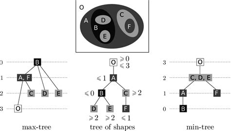 Three Morphological Trees Of The Same Image Download Scientific Diagram