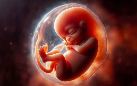 Ai Generado Feto En El Matriz De El Madre En El Uterino Saco 3 Meses