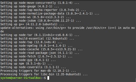 How To Install Npm On Linux Mint 21 Markaicode