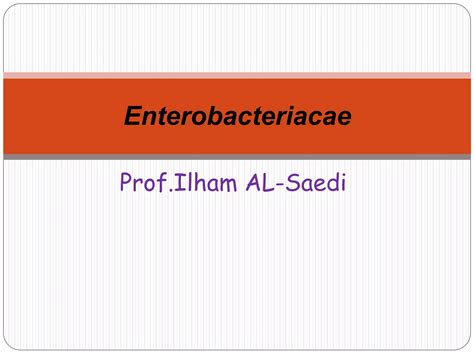 25193183418749290508pptx