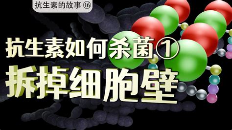 那一天，人类轰塌了细菌的“泰坦巨壁”……【抗生素的故事⑯ 杀菌机制之拆掉细胞壁】 Youtube