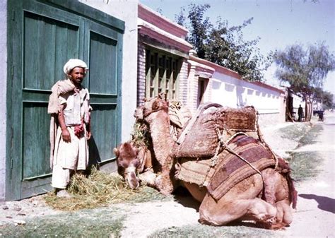 Photos Of Afghanistan Before The Wars Business Insider