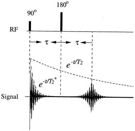 3 Time Diagram Of The Spin Echo Pulse Sequence And The Corresponding