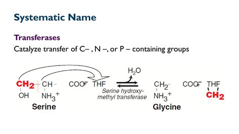 Enzymes I Definition Classificationpdf