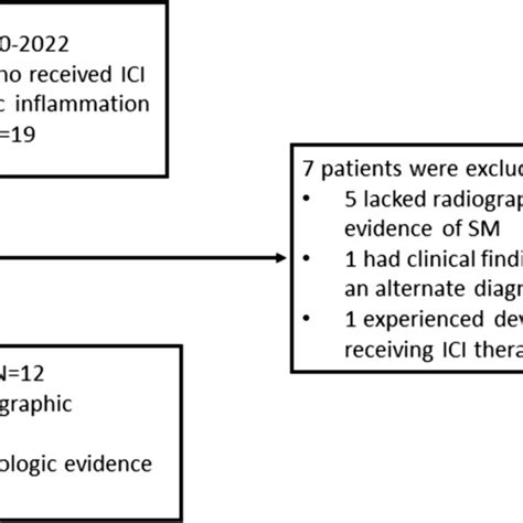Histopathology Of Sm Microscopic Photographs Of Histopathology Samples