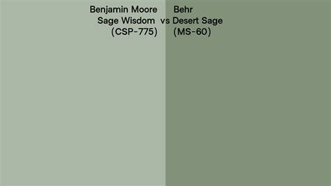 Benjamin Moore Sage Wisdom Csp 775 Vs Behr Desert Sage Ms 60 Side
