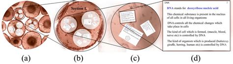 Switching From A Nonlinear Flow A B And C To A Linear Flow At D Download Scientific Diagram